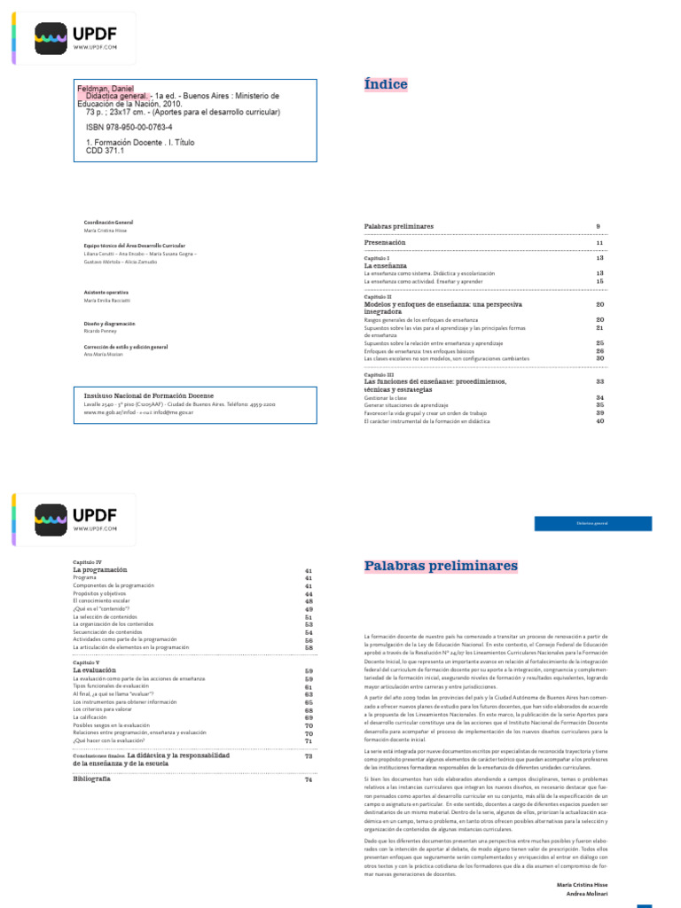 Feldman Capitulo Uno Resumen | PDF | Enseñando | Plan de estudios