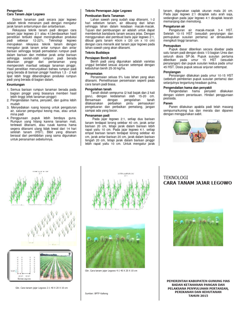 Cara Tanam Jajar Legowo | PDF