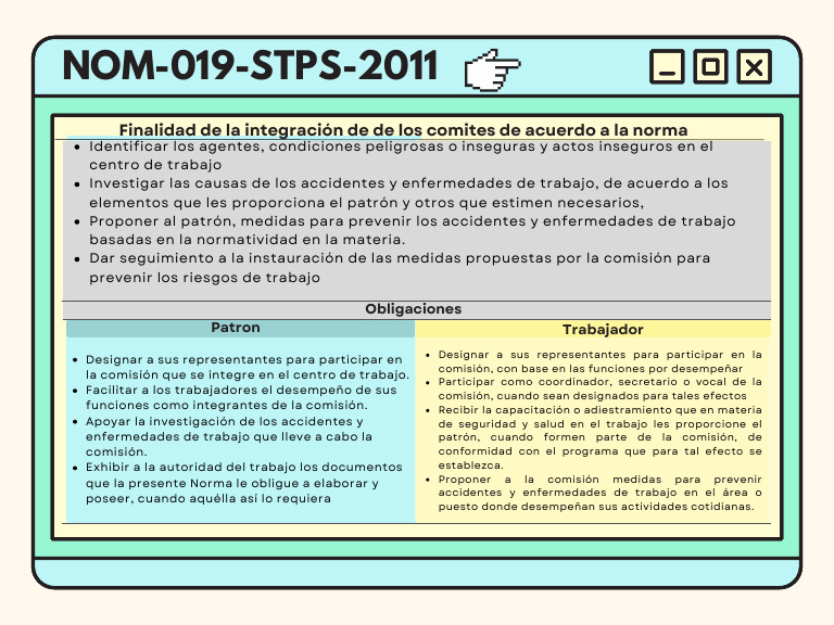 Nom 019 STPS 2011 | PDF