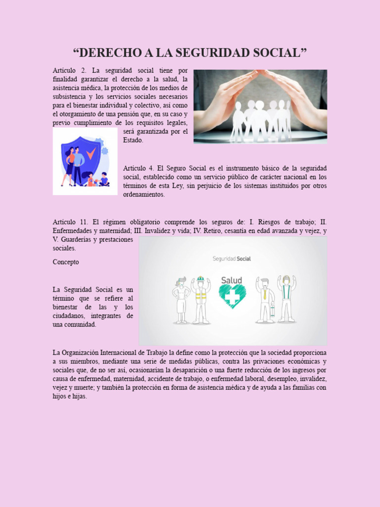 Seguridad Social Pdf