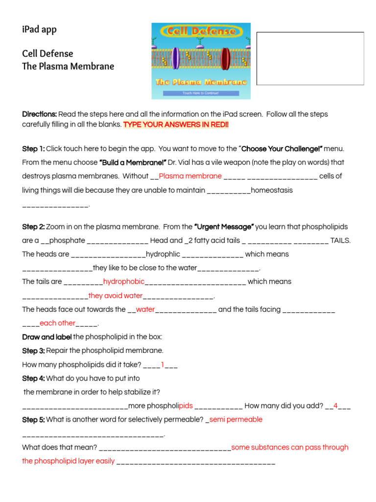 Cell Defense: Plasma Membrane Guide | PDF | Cell Membrane | Cell Biology