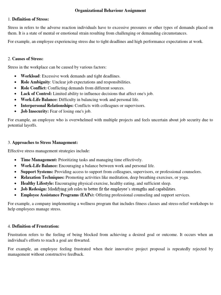 Organizational Behaviour Assignment - Soft | PDF | Psychotherapy | Stress Management