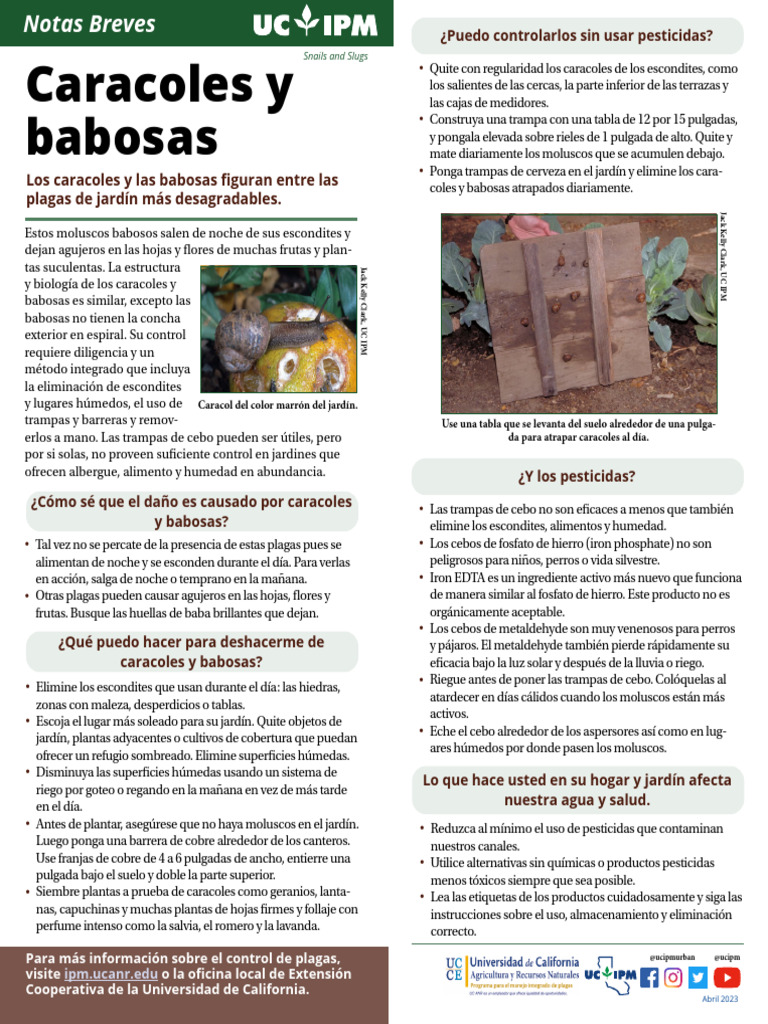 Cara y Babo | PDF | Pesticida | Riego