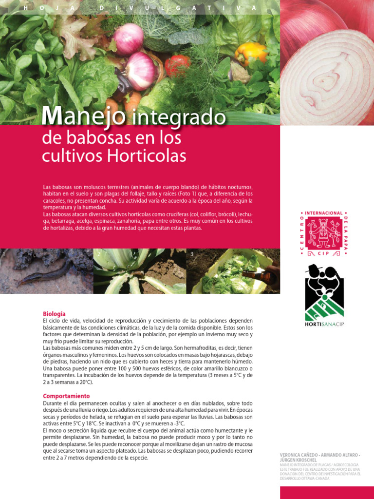 Babo Cultivos Hort | PDF