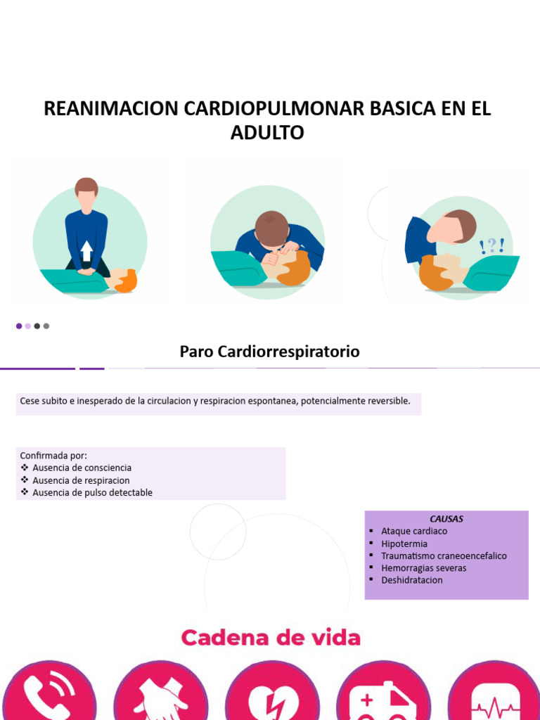 REANIMACION CARDIOPULMONAR BASICA Resumen | PDF
