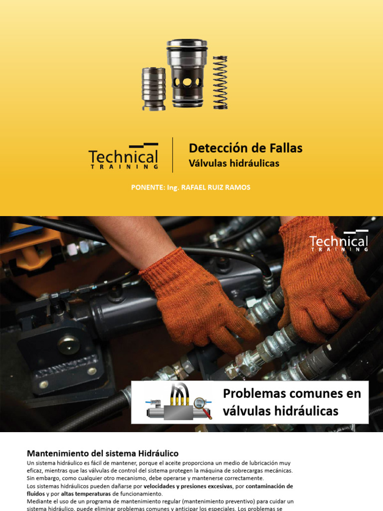 Dia 1 - Fallas Comunes, Sellos, Deteccion de Falla en Válvulas de Retencion | PDF | Rodamiento ...