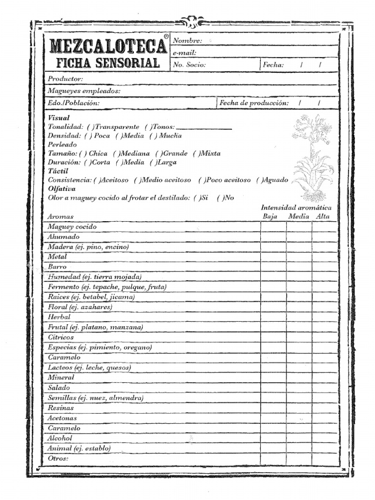 Ficha Cata de Mezcal | PDF