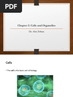 CLASS 3 SCIENCE CHAPTER 3 BIRDS Mrs. Geetarani Das | PDF | Birds | Feather