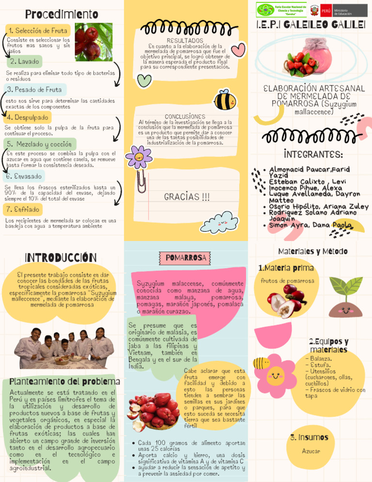 Triptico Mermelada de Pomarrosa | PDF | Fruta
