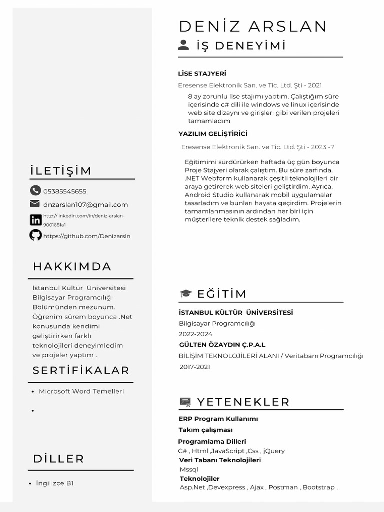 Deniz Ars Lan CV | PDF