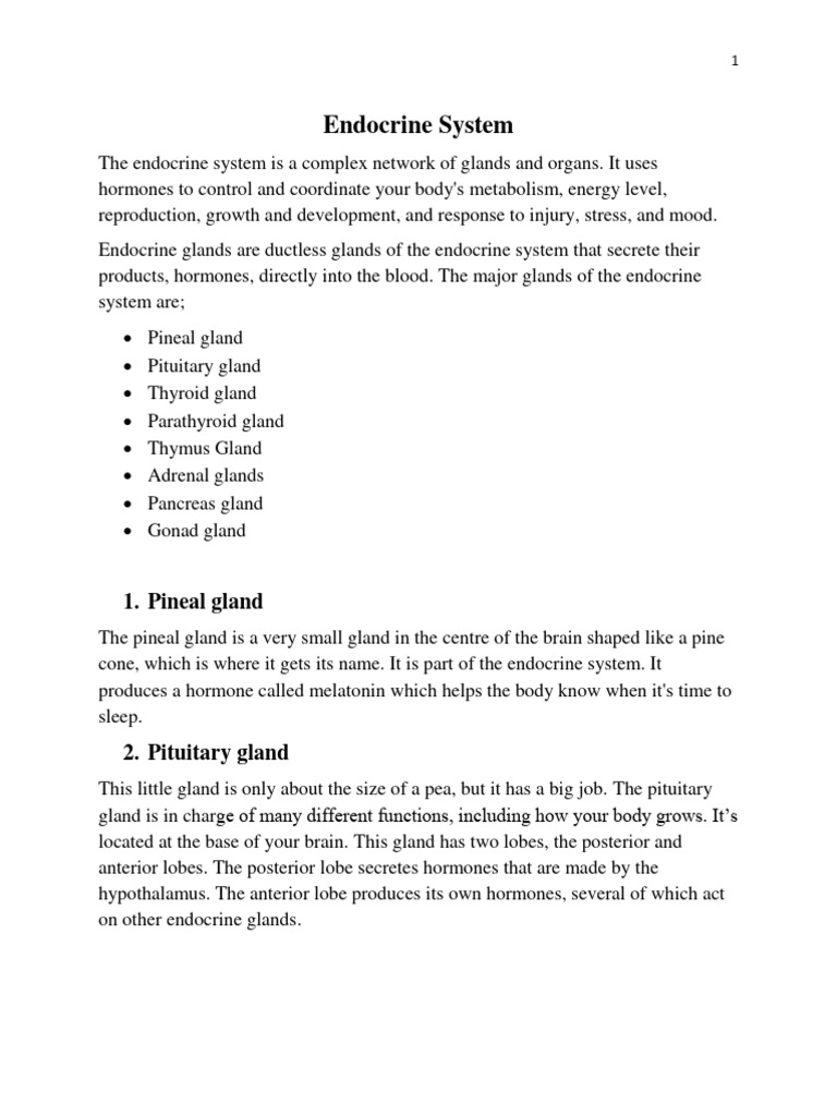 Endocrine System | PDF | Endocrine System | Pituitary Gland