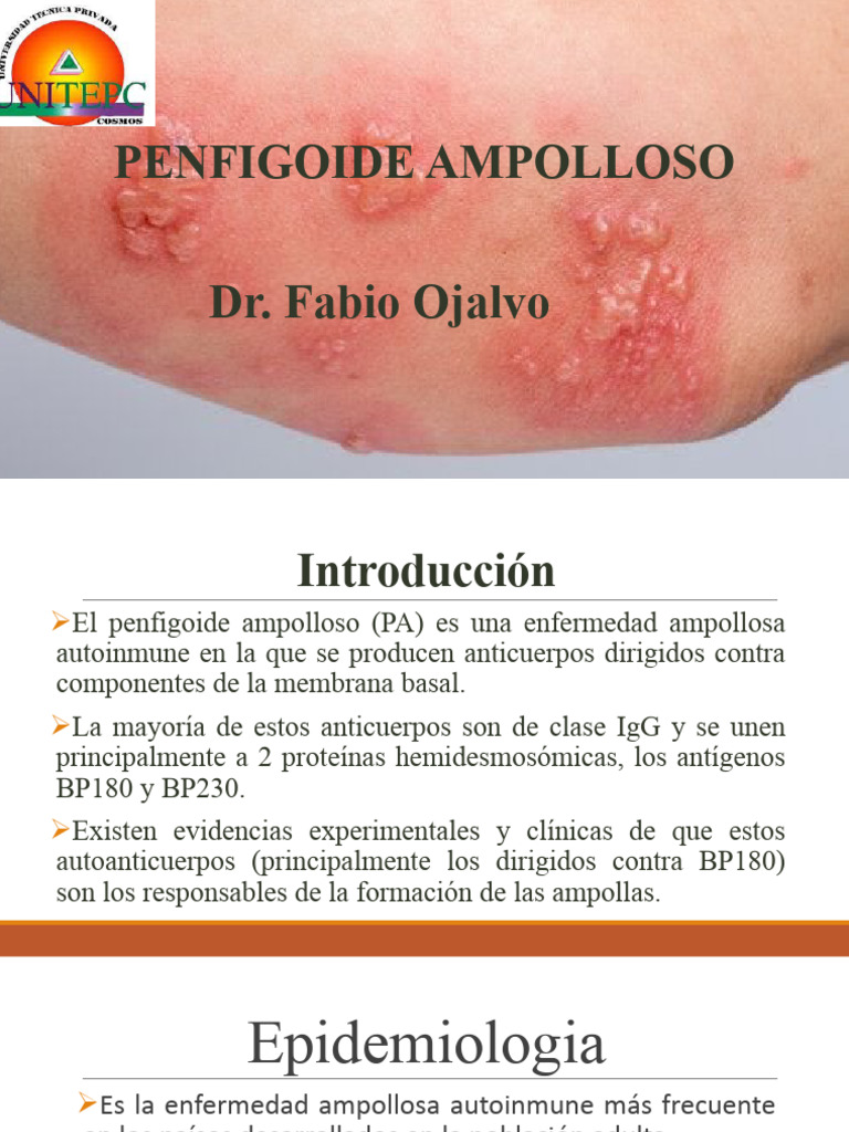 Penfigoide Ampolloso | PDF | Anticuerpo | Corticosteroides