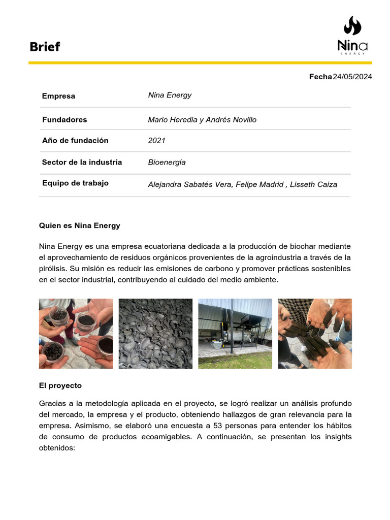 Brief Proyecto para Nina Energy | PDF | Marketing | Marca