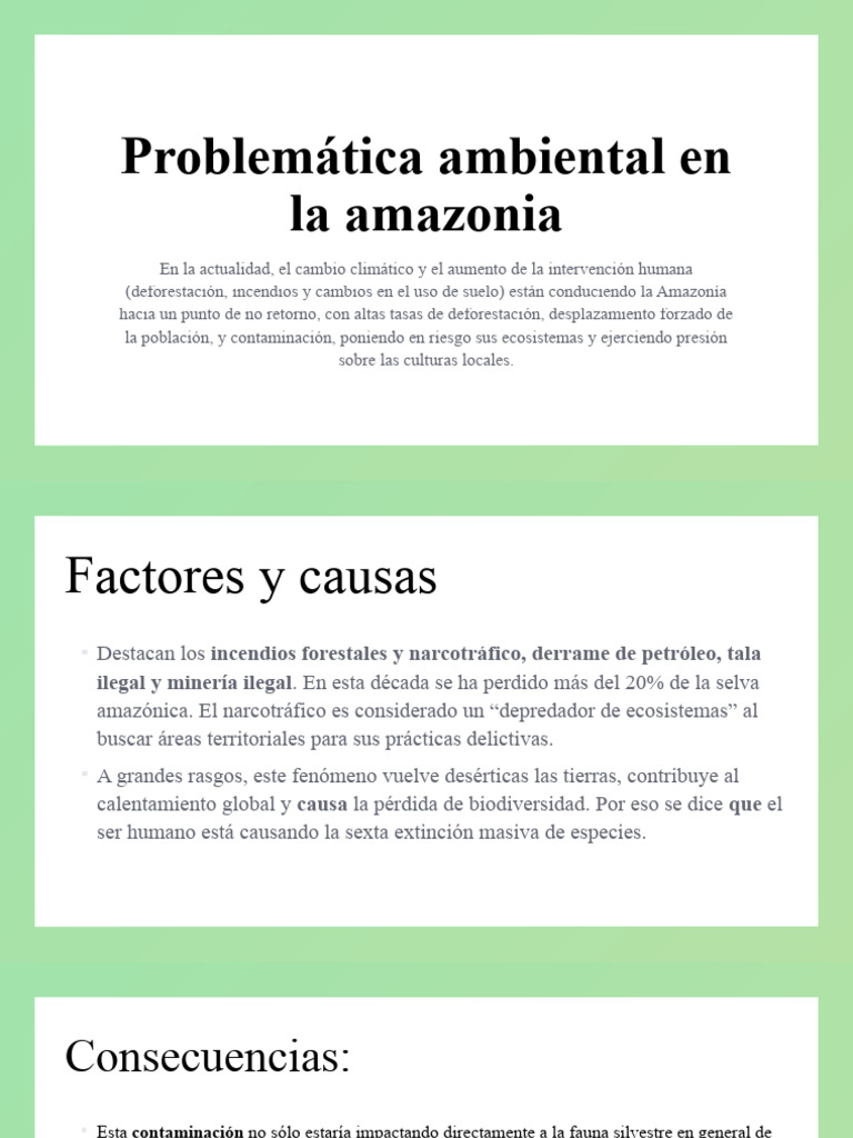 Presentación - Problematica Ambiental | PDF