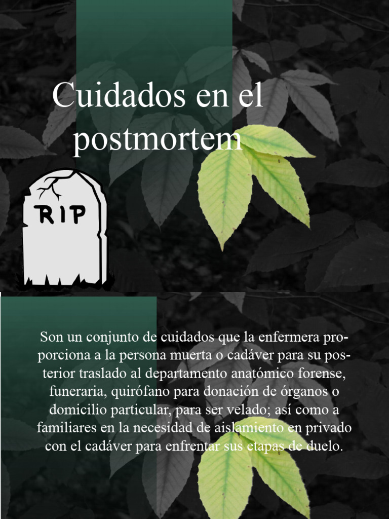 Cuidado Post Mortem | PDF | Terapia | Muerte