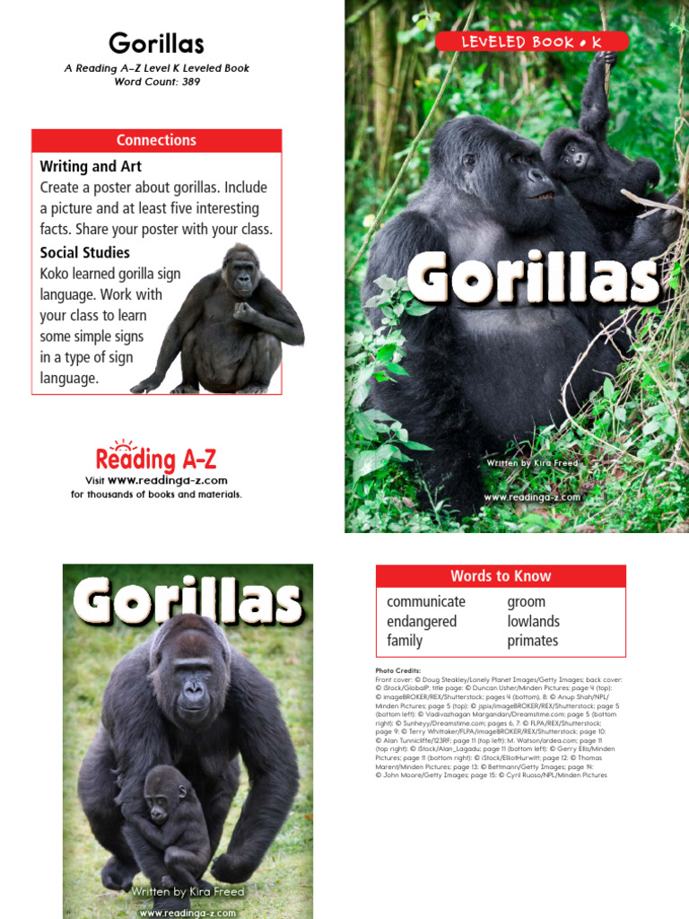 gorillas (kira freed) | Download Free PDF | Gorilla | Zoology