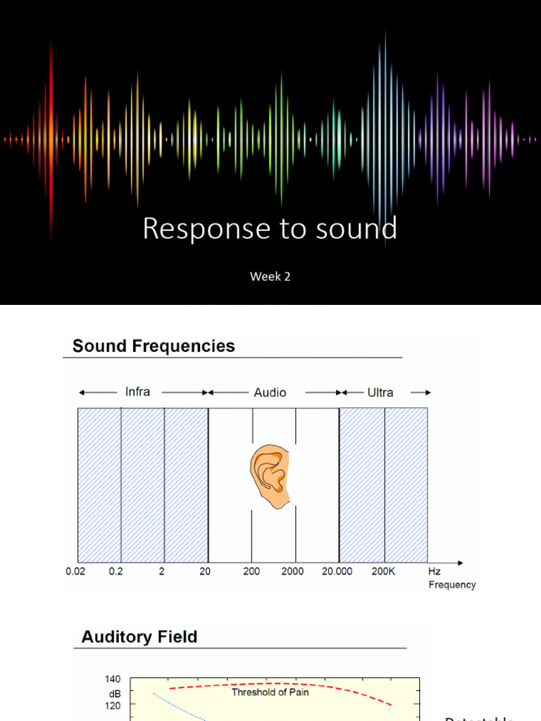 4 Response To Sound | PDF | Sound | Pitch (Music)