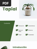 Tapial: Sistema Constructivo Sostenible | PDF | Materiales de ...