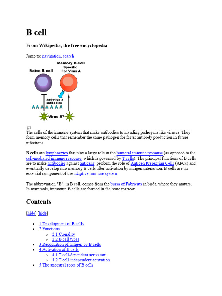 B cells | PDF