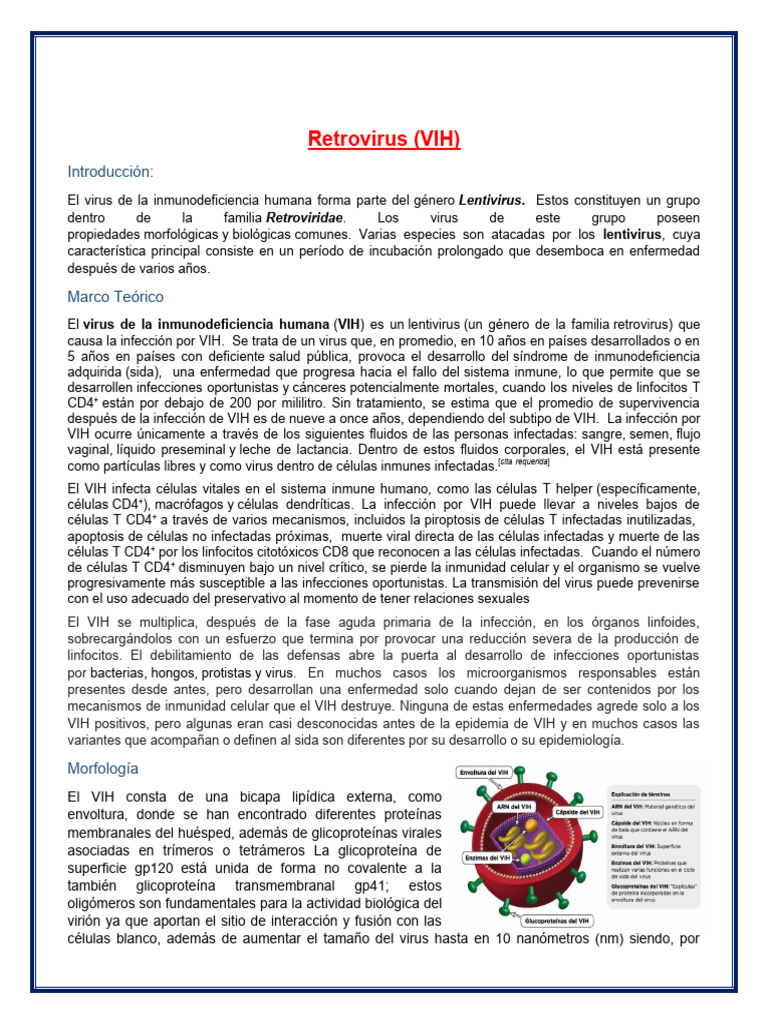 Características del VIH y su Ciclo Vital | PDF | VIH | Retrovirus