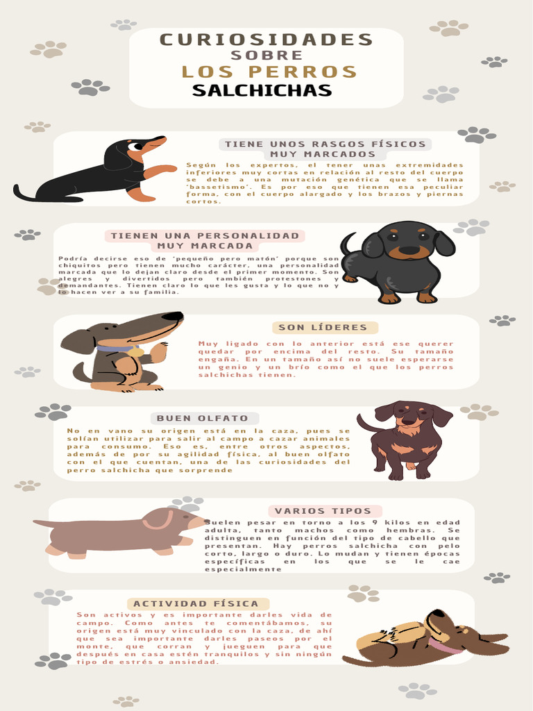 Infografía Curiosidades Sobre Los Perros Natural Beige | PDF | Perro tejonero