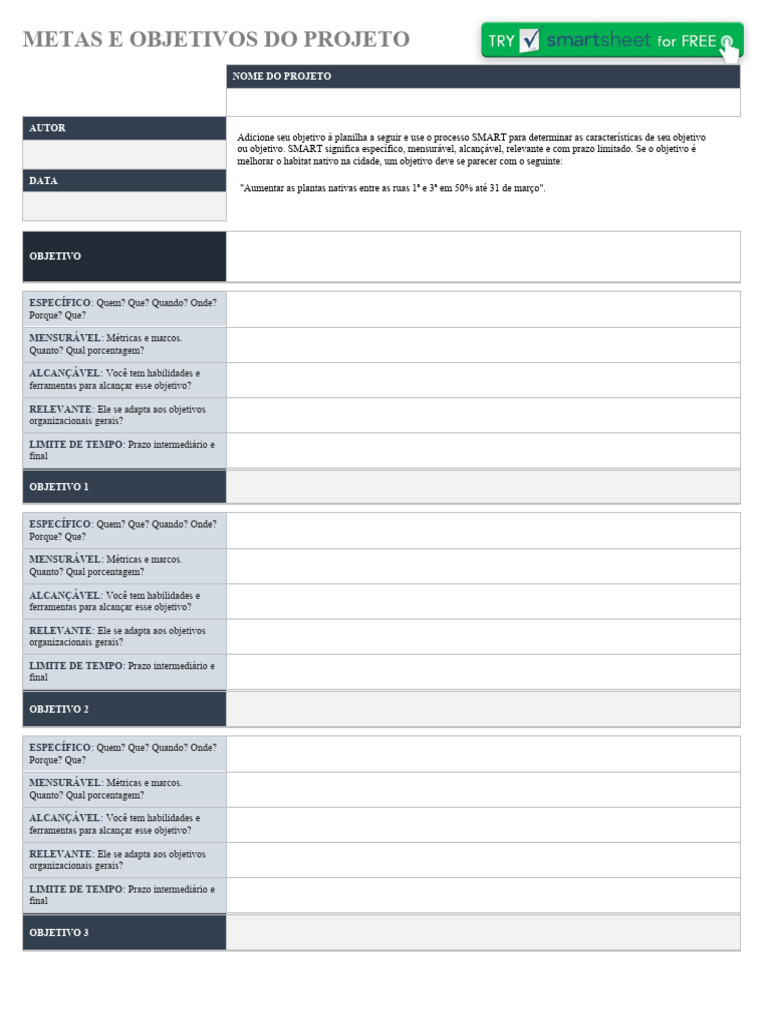 IC Project Goals and Objectives 57213 WORD - PT | PDF