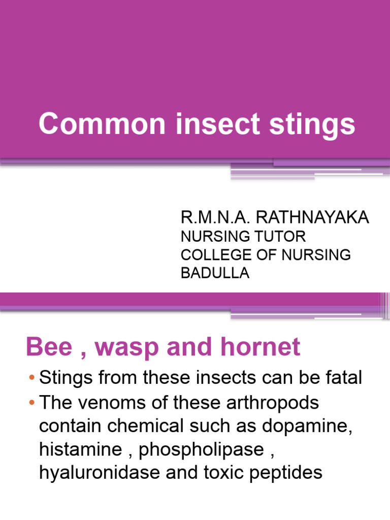 Common Insect Stings | PDF | Clinical Medicine | Medical Specialties