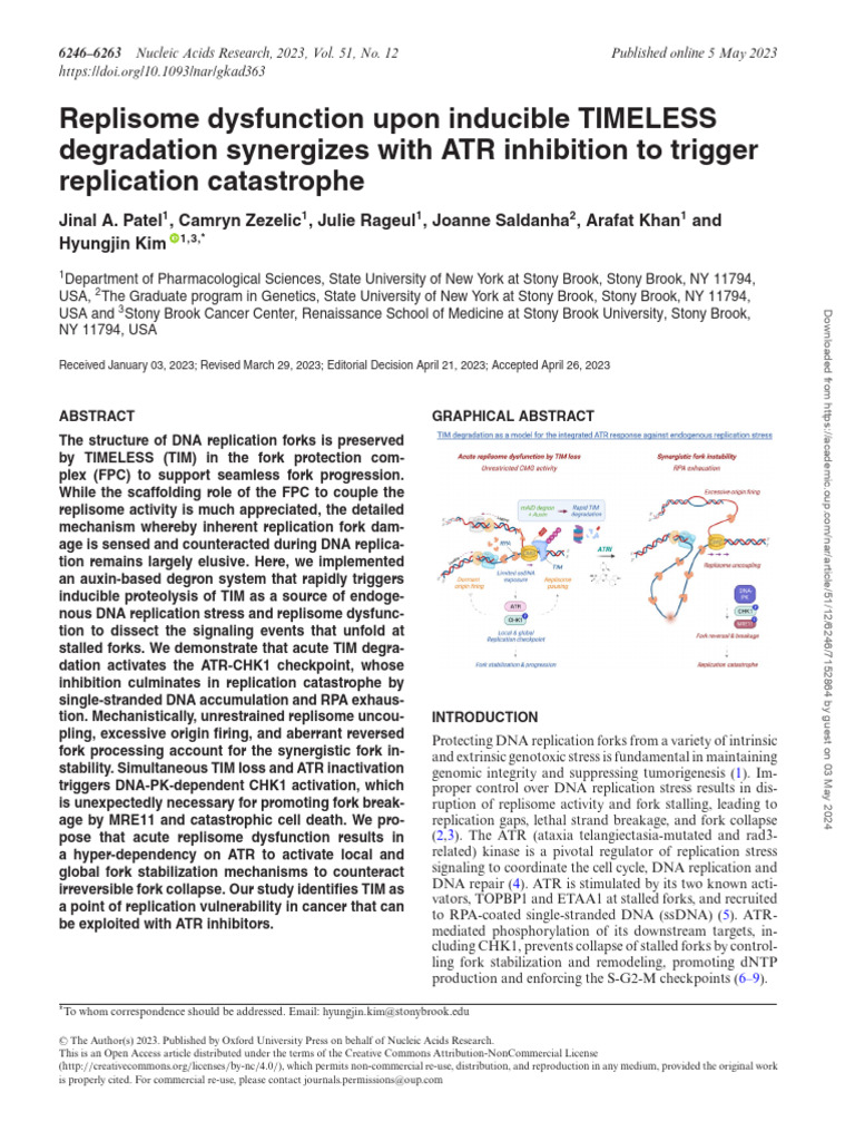 Gkad 363 | PDF | Dna Replication | Nucleic Acids