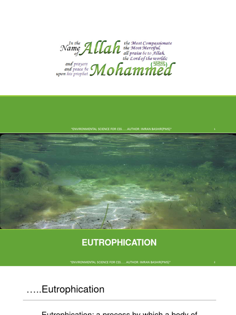1.10 - Eutrophication | PDF