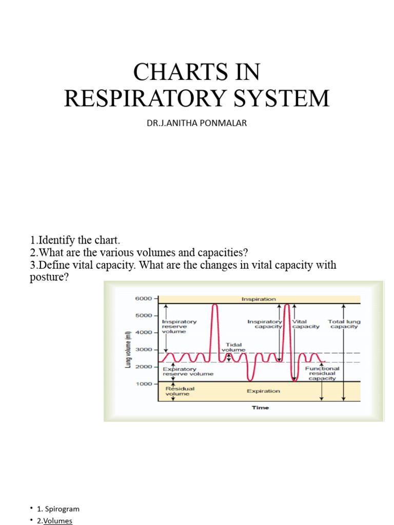 RS Charts | PDF | Respiratory System | Respiratory Tract