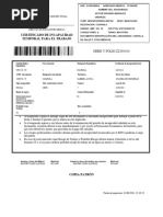 Formato Incapacidad Imss Editable Word | PDF