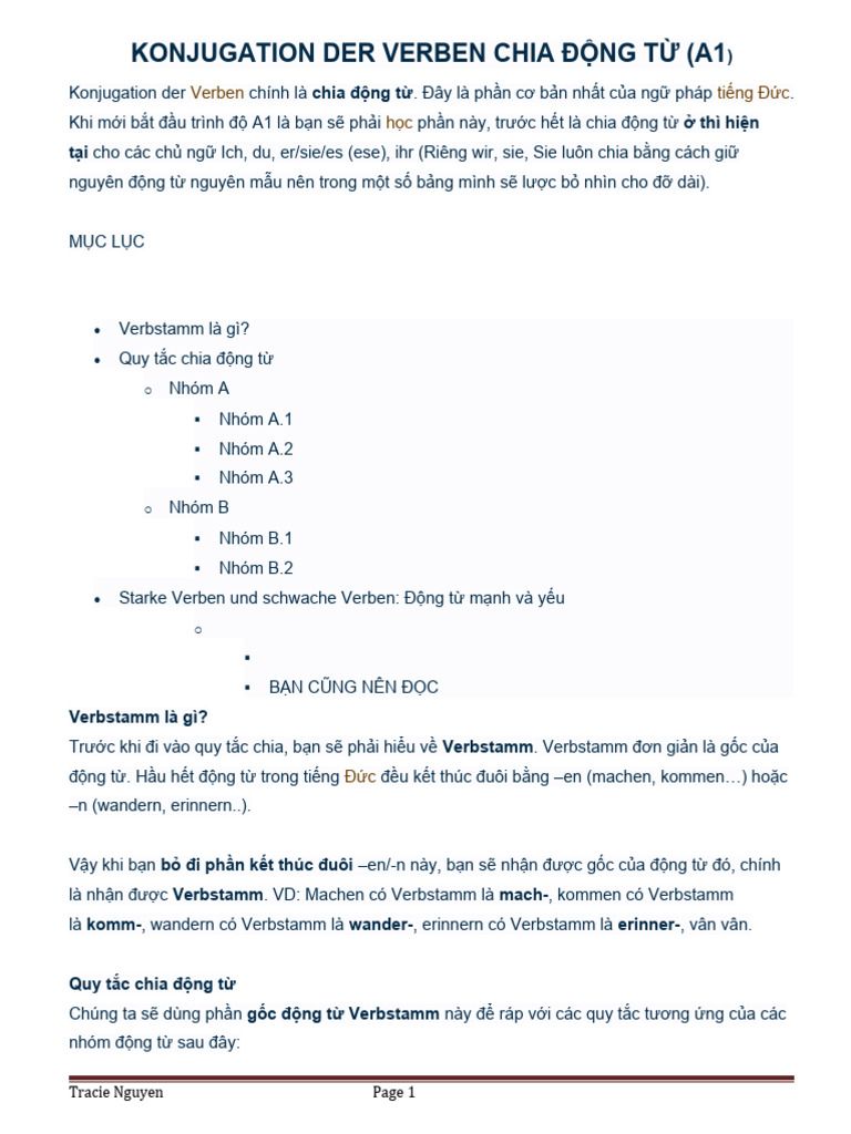 Konjugation Der Verben Chia Đ NG T (A1) | PDF