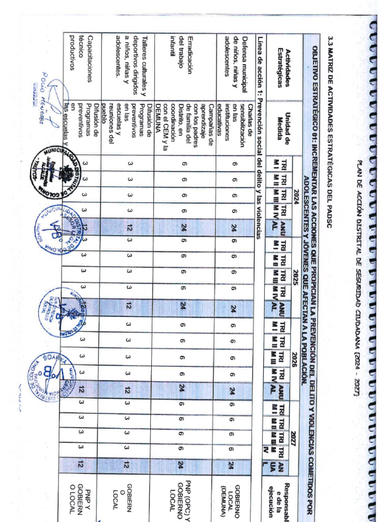 Matriz Colonia | PDF