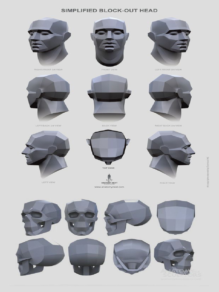 Head Anatomy | PDF