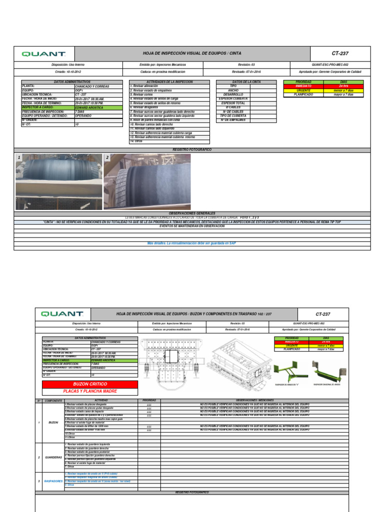 New Overland - CT237 | PDF | Plantas | Botánica