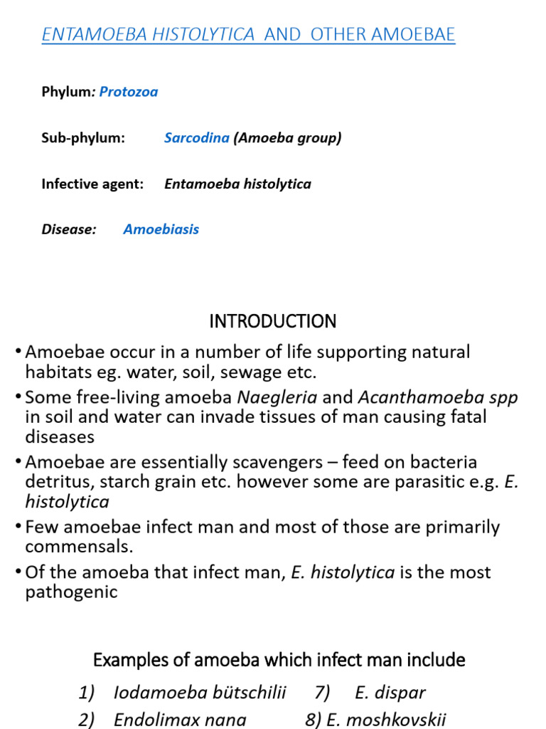 Entamoeba Histolytica and Other Amoebae D | PDF | Medical Specialties ...