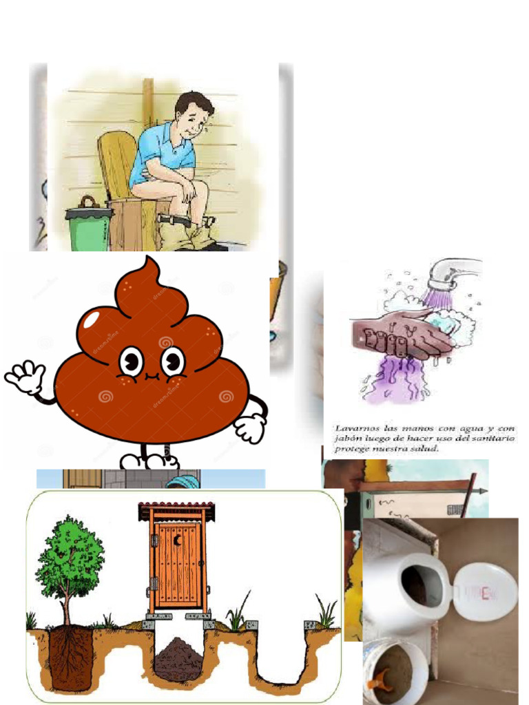 Excreta S | PDF