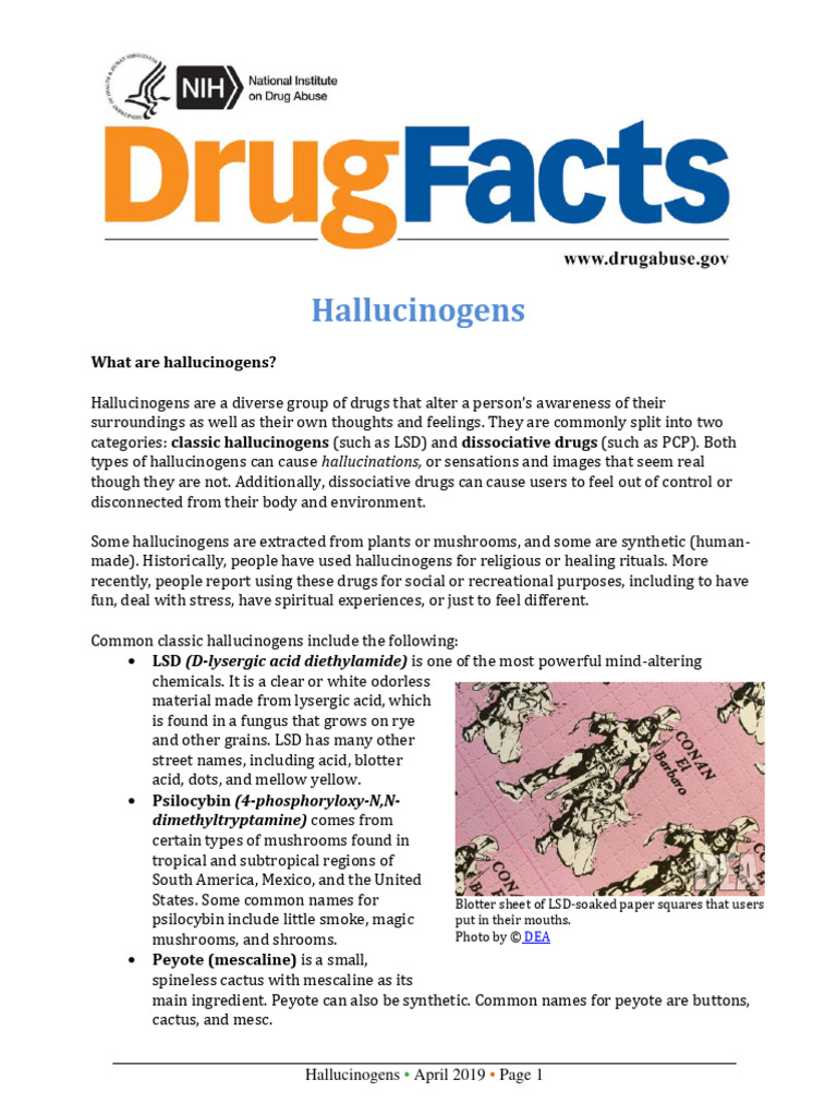 Drugfacts Hallucinogens | Download Free PDF | Hallucinogen | Drugs