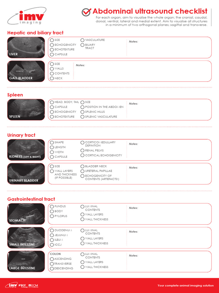 Int CA. Checklist A4. Abdominal Ultrasound. 090223-2 | PDF | Abdomen ...