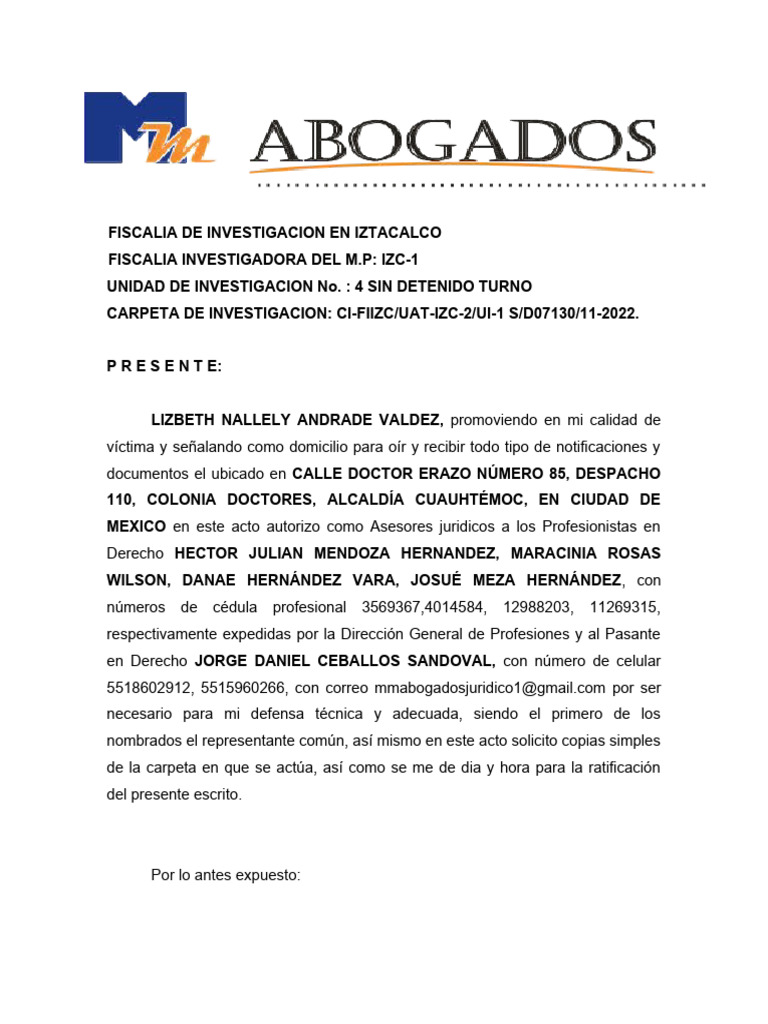 Autorizacion Penal Lizbeth Nallely | PDF