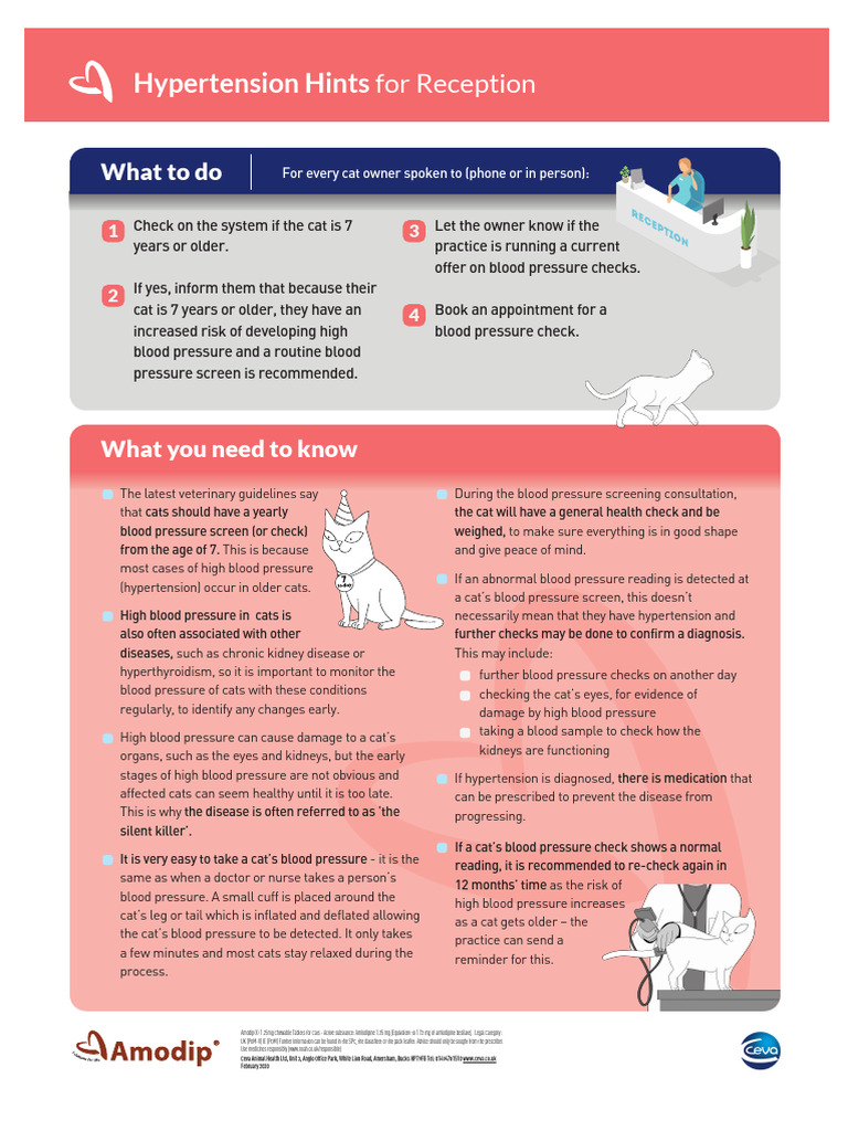 Handy Hints For Reception AMO24 | PDF | Hypertension | Blood Pressure