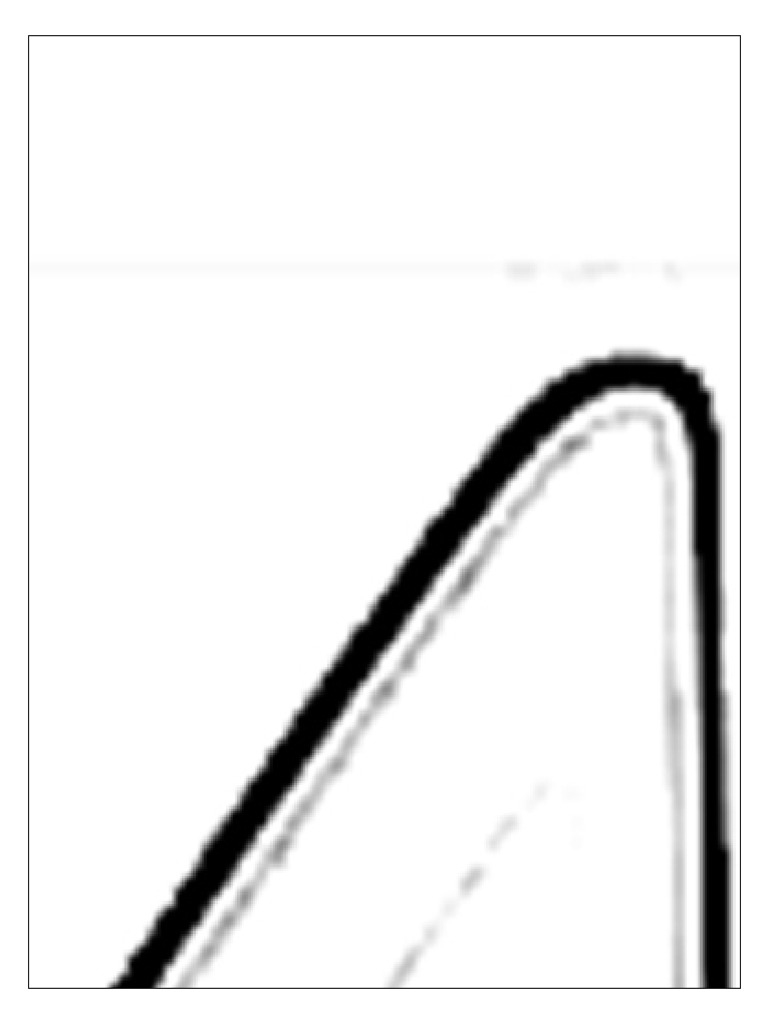 Bluey Molde Piñata 80cm | PDF