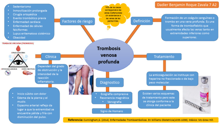 Mapa TVP Dadier Benjamin Roque Zavala 7 A2 | PDF | Epidemiología | Enfermedades y trastornos