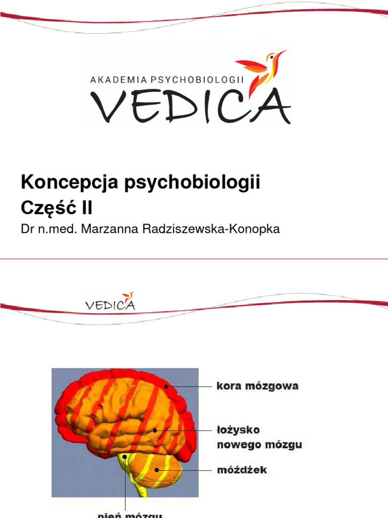 Koncepcja Psychobiologii - CZ II | PDF