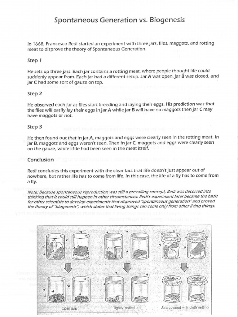 Spontaneous Generation vs. Biogenesis | PDF