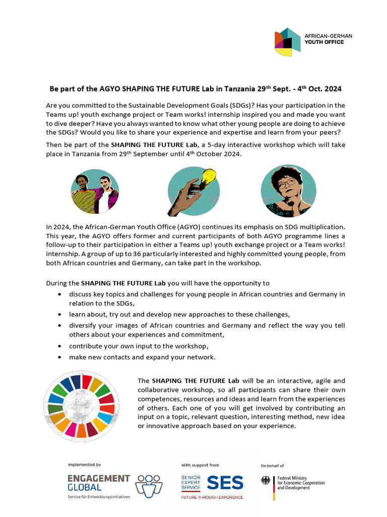 Call For Application AGYO 2024 | PDF | Human Communication | Behavior Modification