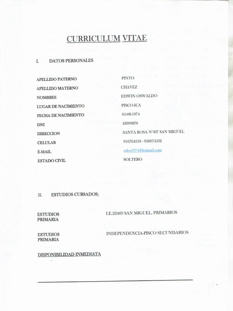 MODELO DE CV | PDF