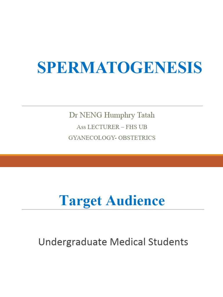 Spermatogenesis DR Neng | PDF | Testicle | Mammal Reproductive System