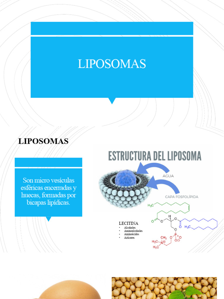 LIPOSOMAS | PDF