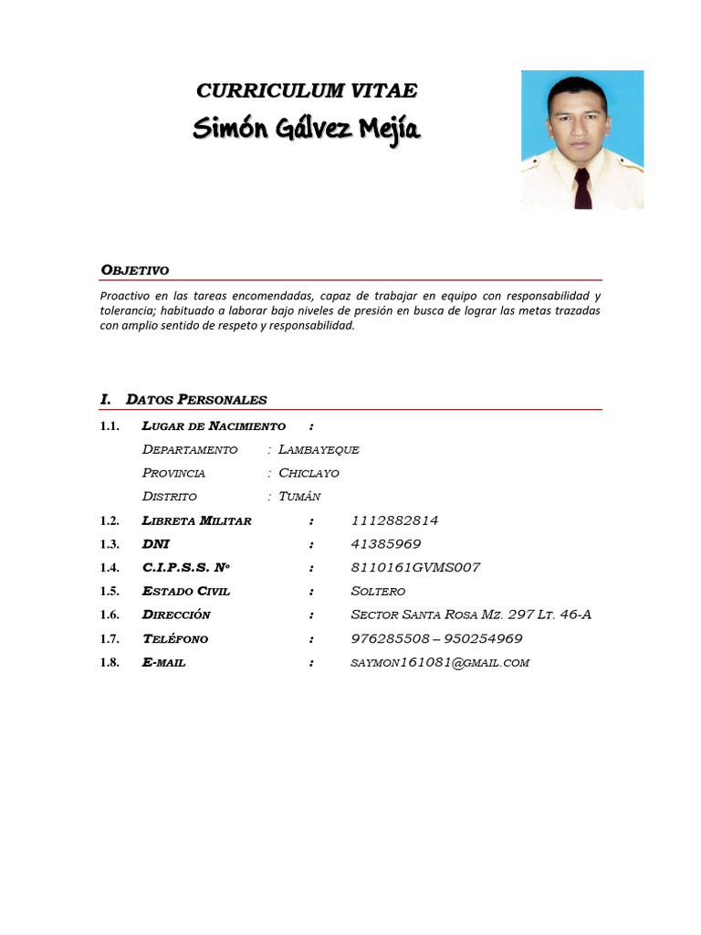 Curriculum Modelo | PDF